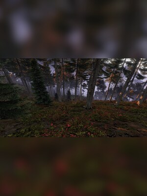 Buy DayZ | Deluxe Edition (PC) - Steam Account - GLOBAL - Cheap - G2A.COM!
