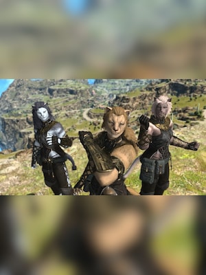 Buy Final Fantasy XIV: Dawntrail | Collectors Edition (PC) - Mog ...