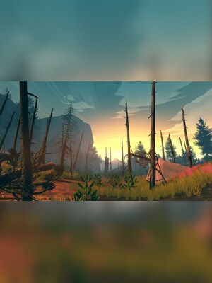 Buy Firewatch Game Steam Key