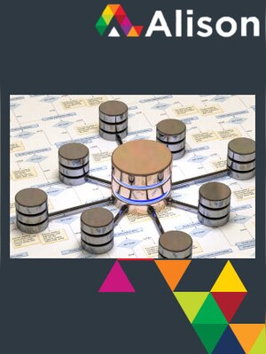 Buy Introduction to Database Concepts Course Alison GLOBAL - Parchment ...