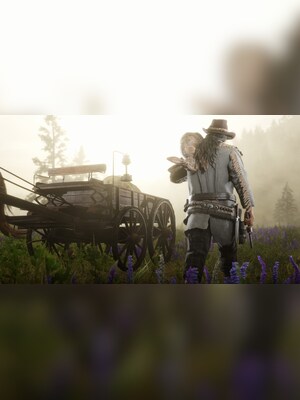 Buy Red Dead Online Steam Gift