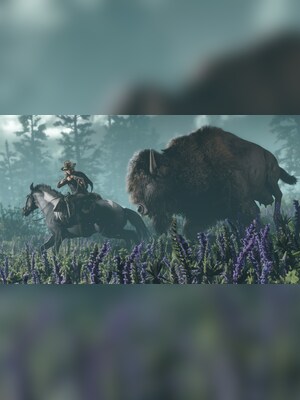 Buy Red Dead Online Steam Gift