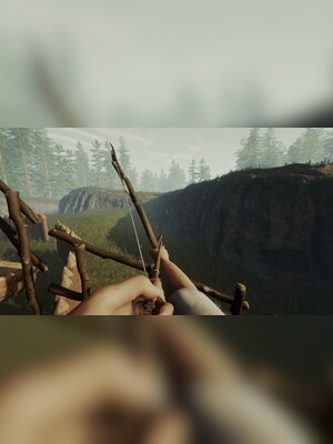 Buy The Forest Steam Gift Game