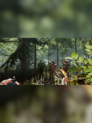 Buy The Forest Steam Gift Game