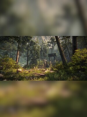 Buy The Forest Steam Gift Game