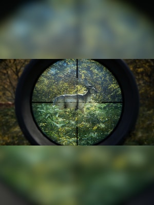 Buy theHunter: Call of the Wild - Master Hunter Bundle (PC) - Steam Key ...