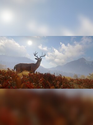 Buy theHunter: Call of the Wild - Master Hunter Bundle (PC) - Steam Key ...