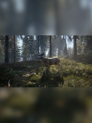 Buy theHunter: Call of the Wild - Master Hunter Bundle (PC) - Steam Key ...
