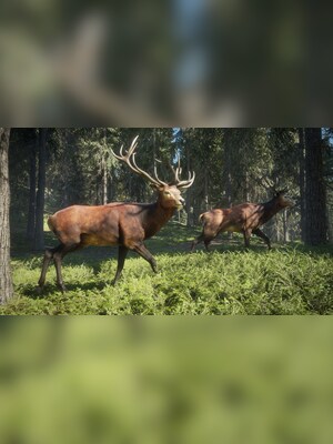 Buy theHunter: Call of the Wild - Master Hunter Bundle (PC) - Steam Key ...