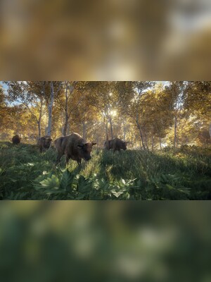 Buy theHunter: Call of the Wild - Seasoned Hunter Bundle (PC) - Steam ...