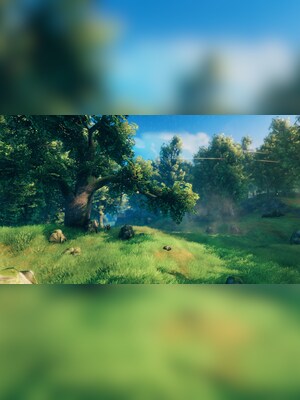 Buy Valheim Steam Key Game Cheaper