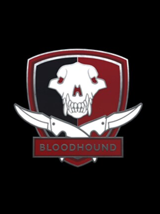 Counter-Strike: Global Offensive Bloodhound PIN 🥇 Best Prices | G2A.COM