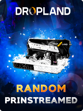 Counter-Strike: Global Offensive RANDOM PRINSTREAMED 🥇 Best Prices ...