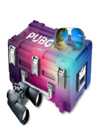 PLAYERUNKNOWN'S BATTLEGROUNDS RANDOM PUBG RANDOM GLASSES CASE BY PUBG ...