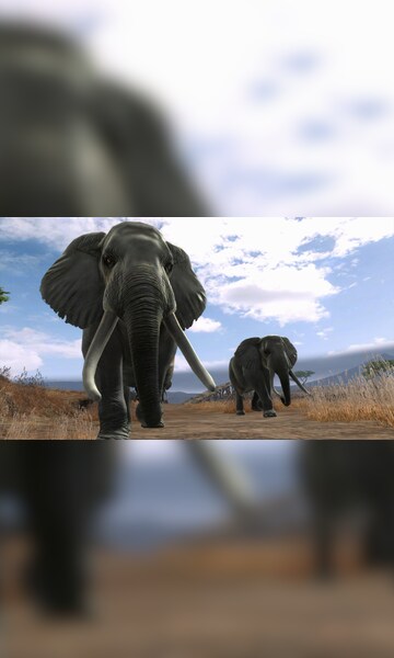 Buy Cabela's Dangerous Hunts (2013) (PC) - Steam Key - GLOBAL - Cheap ...