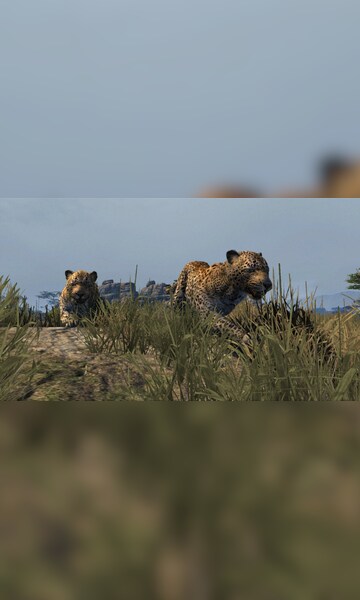 Buy Cabela's Dangerous Hunts (2013) (PC) - Steam Key - GLOBAL - Cheap ...