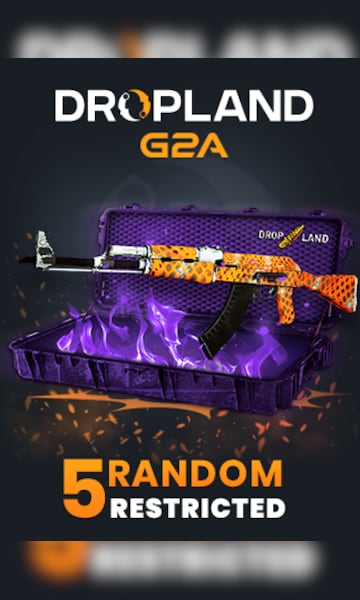 Counter Strike 2 RANDOM 5 CASE RESTRICTED SKIN - BY DROPLAND.NET ...