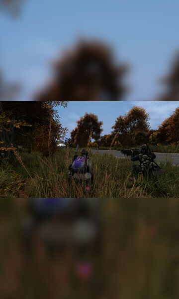 Buy DayZ (PC) - Steam Account - GLOBAL - Cheap - G2A.COM!