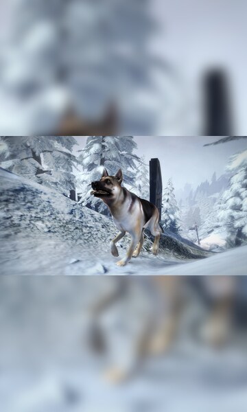 Buy Fable III - Dog Breed Set Steam Key GLOBAL - Cheap - G2A.COM!