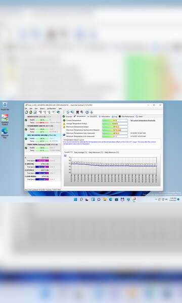 Buy Hard Disk Sentinel Professional (1 Device, Lifetime) - HDSentinel ...