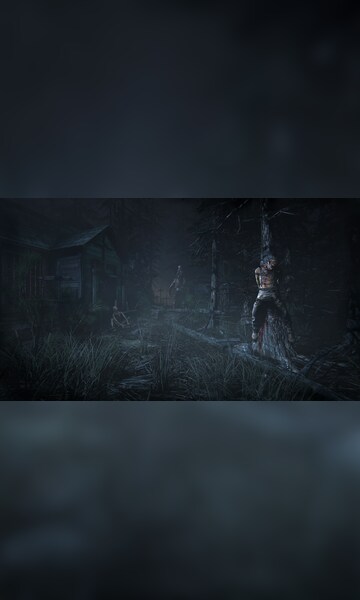 Outlast 2 (PC) - Buy Steam Game CD-Key