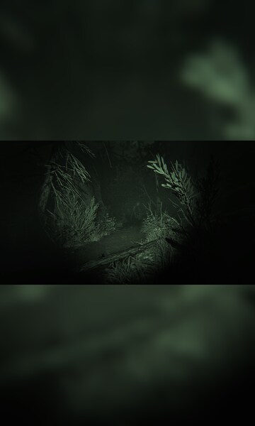 Outlast 2 (PC) - Buy Steam Game CD-Key