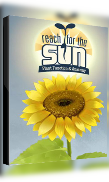 Buy Reach for the Sun Steam Gift GLOBAL - Cheap - G2A.COM!