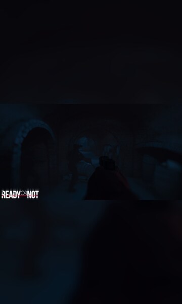 Buy Ready Or Not Game Steam Key