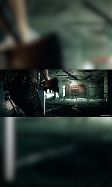 Buy The Evil Within PC Steam Game Key