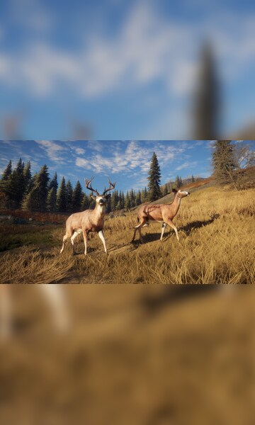 Buy theHunter: Call of the Wild- Complete Collection (PC) - Steam Key ...