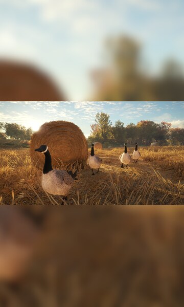 Buy theHunter: Call of the Wild- Complete Collection (PC) - Steam Key ...