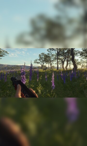 Buy theHunter: Call of the Wild - Essentials DLC Bundle (PC) - Steam ...