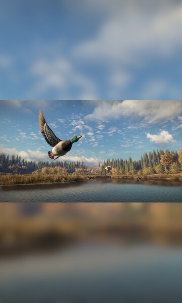 Buy theHunter: Call of the Wild - Master Hunter Bundle (PC) - Steam Key ...