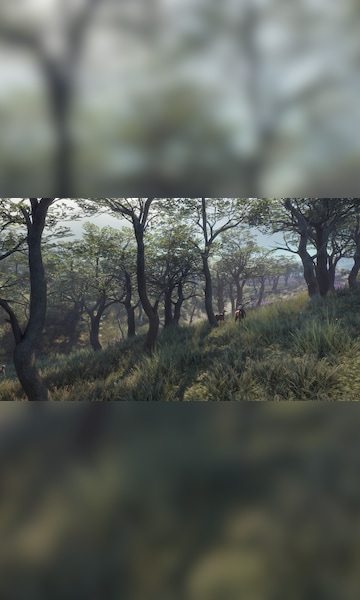 Buy theHunter: Call of the Wild - Parque Fernando (PC) - Steam Key ...