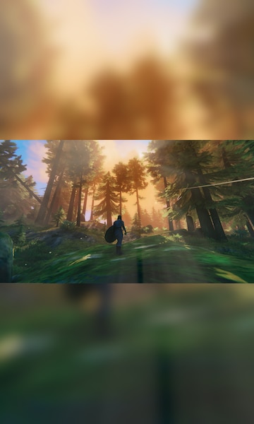 Buy Valheim Steam Key Game Cheaper
