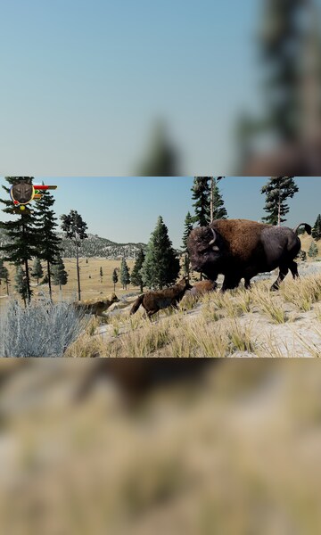 Buy WolfQuest: Anniversary Edition (PC) - Steam Gift - GLOBAL - Cheap ...