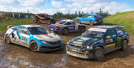 Acquista Forza Horizon 4: Any Terrain Car Pack (PC) - Steam Regalo ...