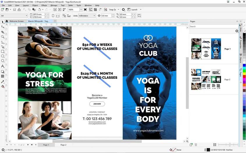 Buy CorelDRAW 2021 Standard (1 PC, Lifetime) - Corel Key - GLOBAL ...