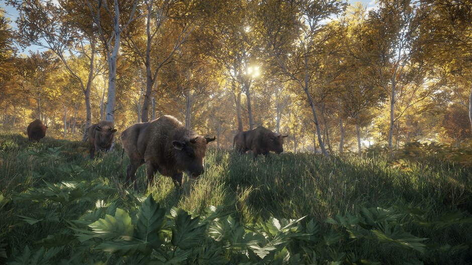 theHunter: Call of the Wild™ (PC) - Buy Steam Game Key